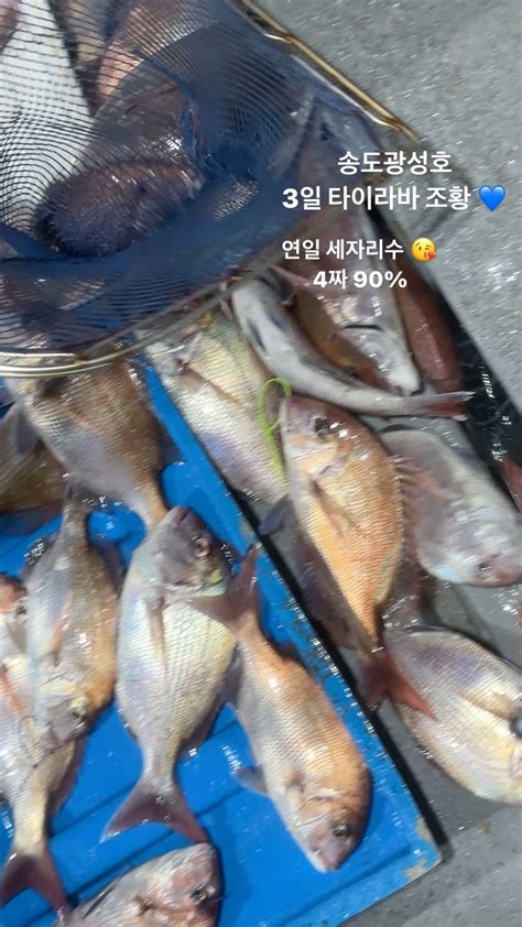 송도 광성호 🛥 Songdokimstar • Instagram Photos And Videos