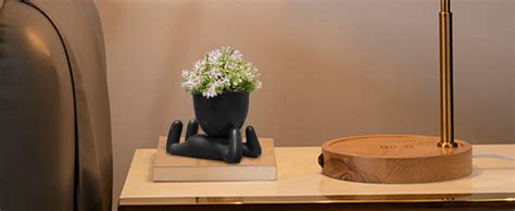 Zerzsy Cute Artificial Succulent Plants In White Human