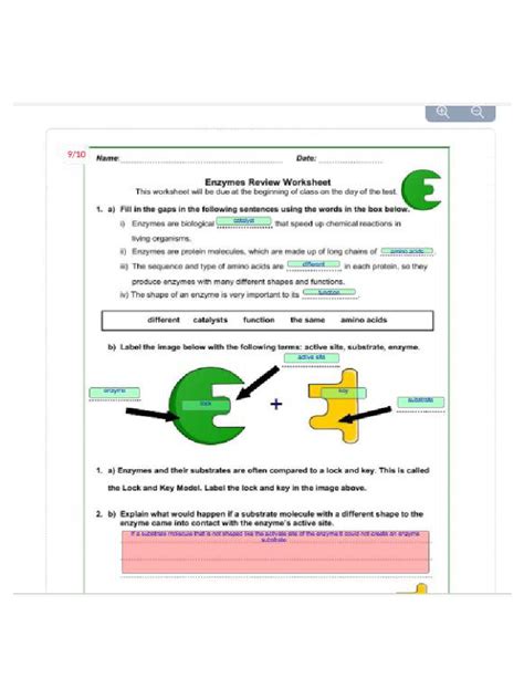 Enzymes Worksheet Pdf
