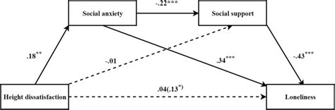 Chain Mediation Model Indicating The Mediating Roles Of Social Anxiety Download Scientific
