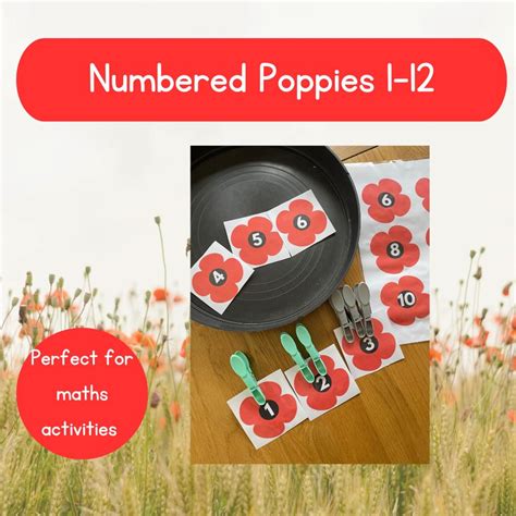 Poppies Numbered 1 12 Early Maths Activity Remembrance Day Activity Classroom Or Home Use
