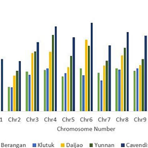 The Number Of Lncrna Distribution Based On Chromosome Number We Used