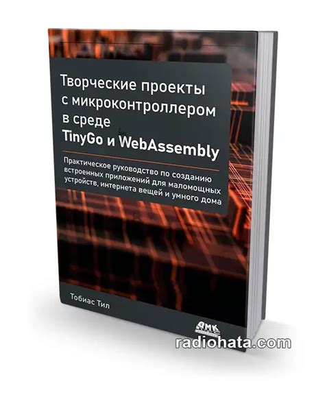 Тобиас Тил Творческие проекты с микроконтроллером в среде Tinygo и
