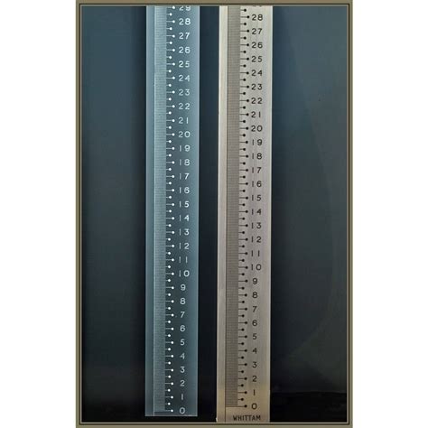 Scanogram Radiology Ruler For Digital Imaging