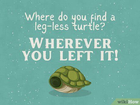 The 95 Best Turtle Puns Jokes Captions And One Liners