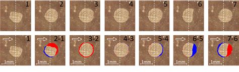 Figure 6 From Transition Between Friction Modes In Adhesive Contacts Of A Hard Indenter And A