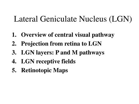 Ppt Lateral Geniculate Nucleus Lgn Powerpoint Presentation Free