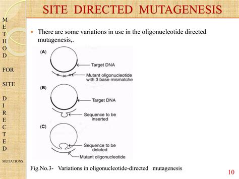 Site Directed Mutagenesis Pptx Chemistry Science