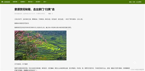 基于springbootvue的江西旅游网前后端分离 阿里云开发者社区