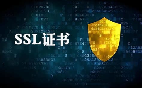 网站安装ssl证书的重要作用以及免费申请通道 个人文章 segmentfault 思否
