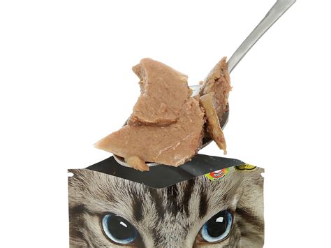 Pate Cho Mèo Cherman Vị Cá Ngừ 85g Giá Tốt Tại Bách Hoá Xanh