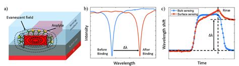 Principle Of The Evanescent Field Detection For A Silicon Photonic