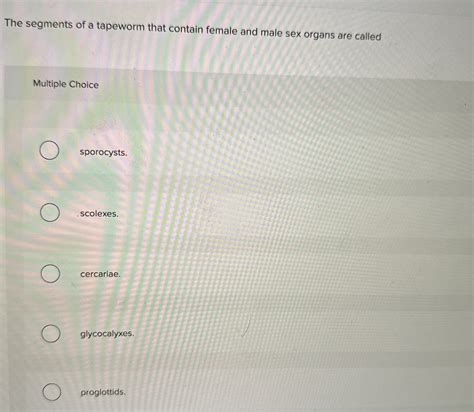 Solved The Segments Of A Tapeworm That Contain Female And