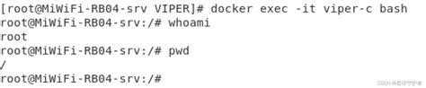 内网工具viper的介绍与配置简介 viper工具 csdn博客