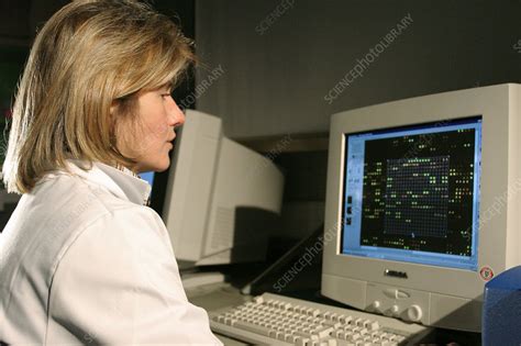 Genetic Analysis Dna Microarray Stock Image G210 1148 Science Photo Library