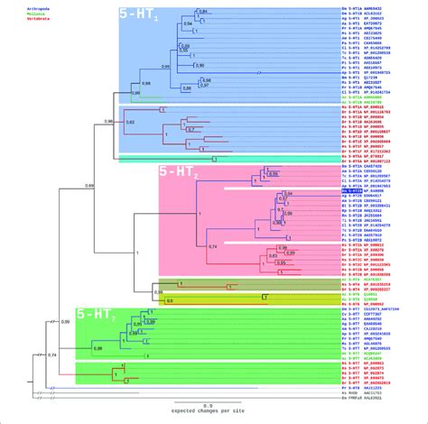 Bayesian Phylogeny Of 5 Ht Receptors Alignments Were Performed Using