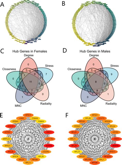 Bioinformatics Analysis Of Diagnostic Biomarkers For Alzheimers