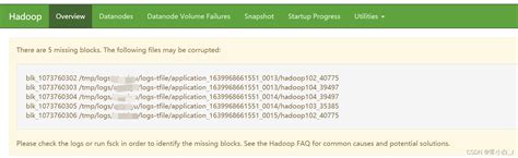 解决namenode一直处于安全模式的问题name Node Is In Safe Mode Csdn博客