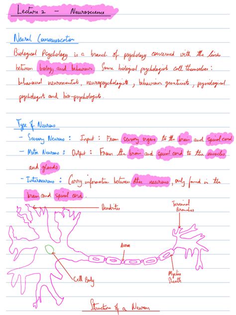 Intro To Psychology Notes 2 Neuroscience Pdf Neuron Neurotransmitter