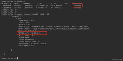 十五、docker 网络 极客之音
