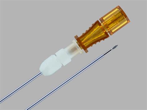 Tfe Sheathed Needle With Chiba Tip And Clear Sheath Cook Medical