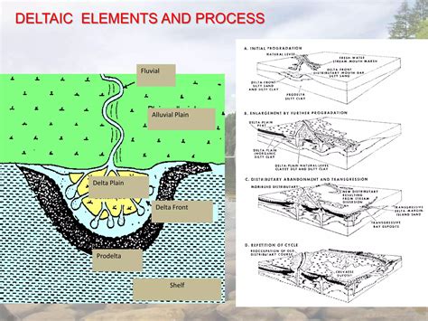 Seismic Interpretation Fluvial Deltaic System Pptx