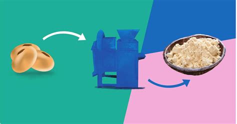 Myth Busted Processing Soy Does Not Lessen Its Nutritional Benefits