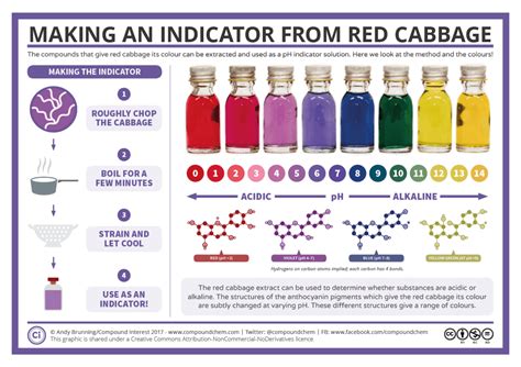 Red Cabbage Indicator Ph Scale