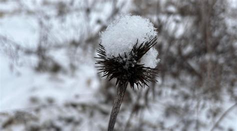 Permaculture Plot Permaculture Plot • Instagram Photos And Videos