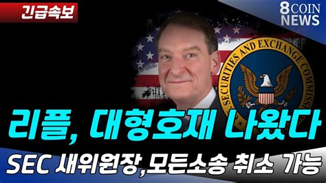 리플 미쳤다 Youtube