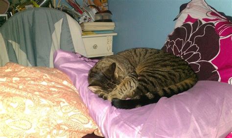 Aspen Can Be Cute When He Wants To Be