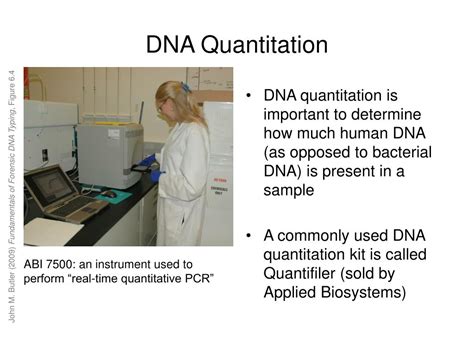 Ppt Fundamentals Of Forensic Dna Typing Powerpoint Presentation Free Download Id 6009331