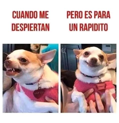 Humor Y Pendejadas R Humor Y Pendejas