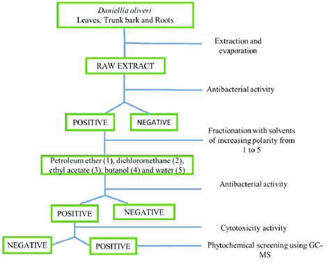 flowchart of the bio guided isolation assay performed on the different
