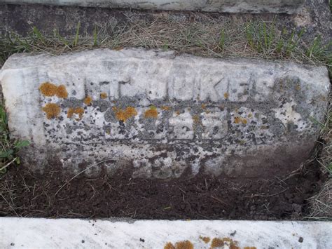 James Thompson Jukes 1823 1862 Find A Grave Memorial