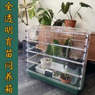 植物闷养箱批发新款育苗培育带苗盘育种透明加高托盘温室发芽盒 阿里巴巴