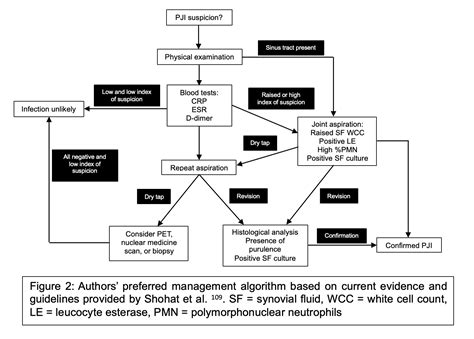 An Overview Of The Current Diagnostic Approach To Periprosthetic Joint