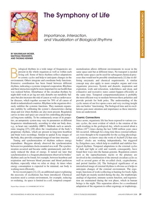 Pdf The Symphony Of Life Importance Interaction And Visualization Of Biological Rhythms