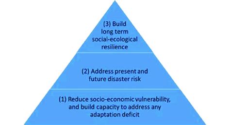 1 Components Of Adaptation Policy In Deltas Adapted From Tompkins Et