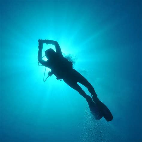 Passive Acoustic Monitoring For Sustainable Ocean Management