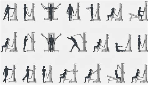 The Amazing Bodybuilding Triceps And Biceps Workout Without Weights