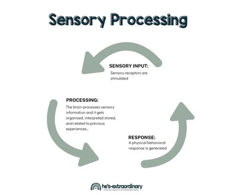 Sensory Integration And Learning Overcoming Challenges In The Classroom
