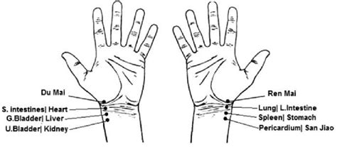 Pulse Waveform Difference Between Photoelectric Sensor And Download Scientific Diagram