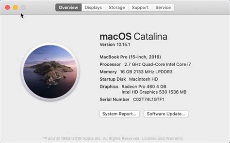 Mac Os Catalina Security Camera Software