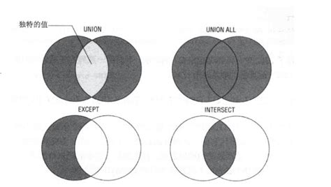 union all和union的区别 大木瓜 博客园