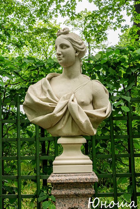 В Летнем саду Ирина Соловьёва Социальная сеть ФотоКто