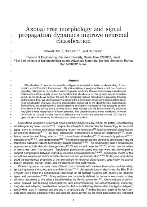 Pdf Axonal Tree Morphology And Signal Propagation Dynamics Improve