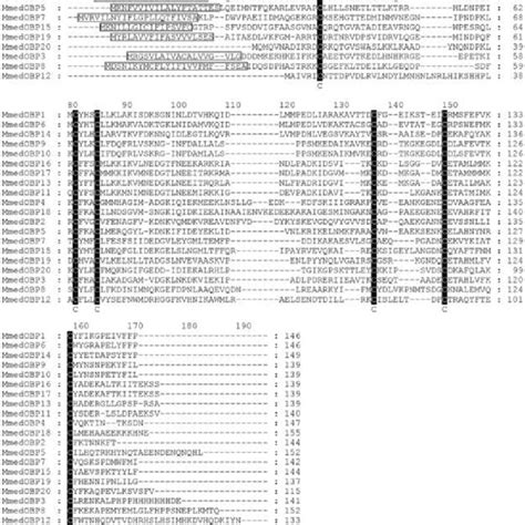Sequence Alignment Of All Identified Obps And Csps In M Mediator A Download Scientific