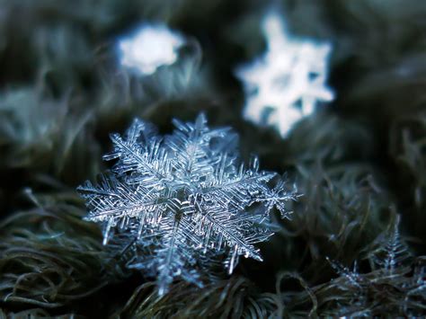 Photographer Captures Snowflakes In Stunning Detail