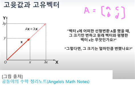 visualizing complex vector based on eulers formular 고준환